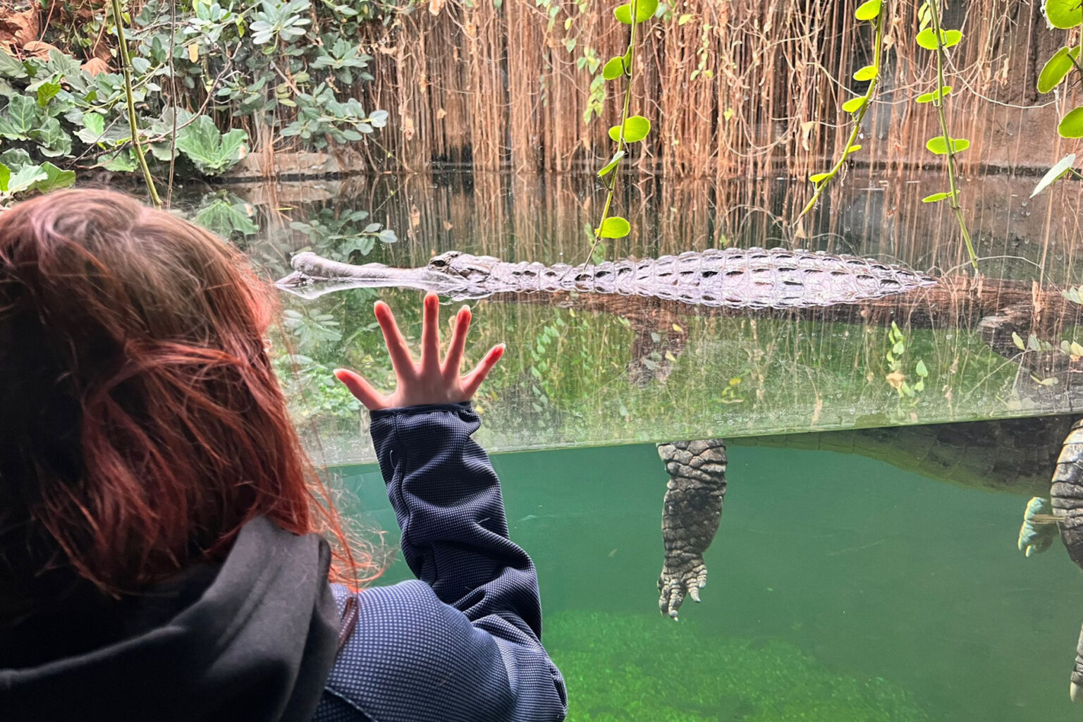 Chester Zoo Science Project - Ridgeway High School